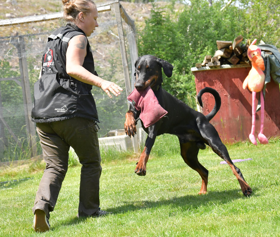 Om mej - DOBERICE